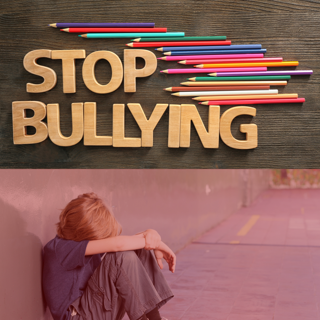 Understanding and Combating School Bullying and Violence: A Guide to ...